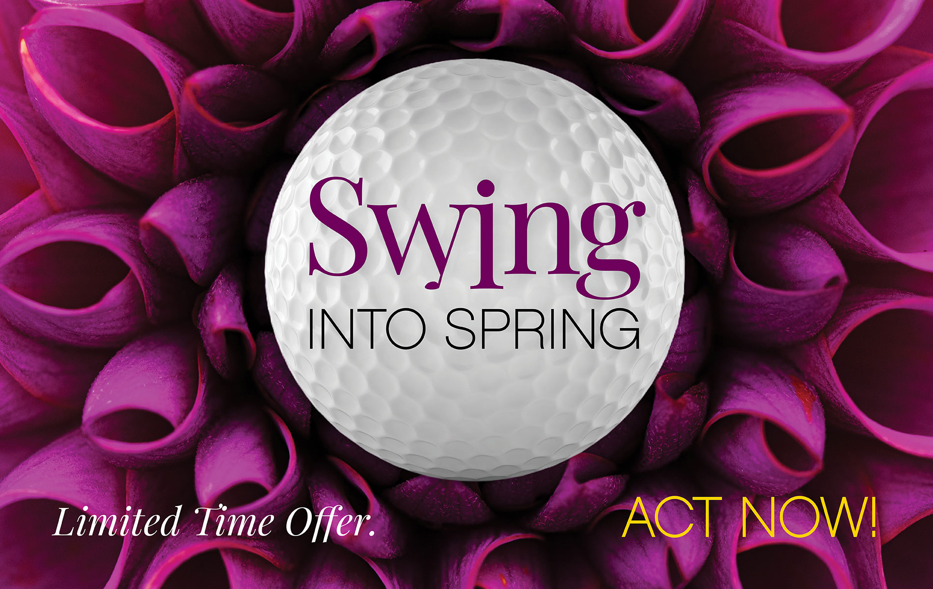 The Stone Canyon Club